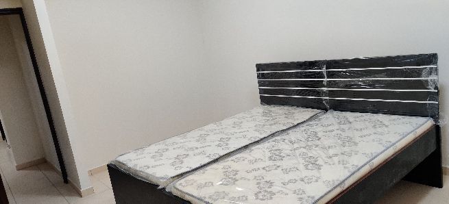 Fully Furnished Executive Bachelor Room, Shaikh Hamdan Colony | RentUncle